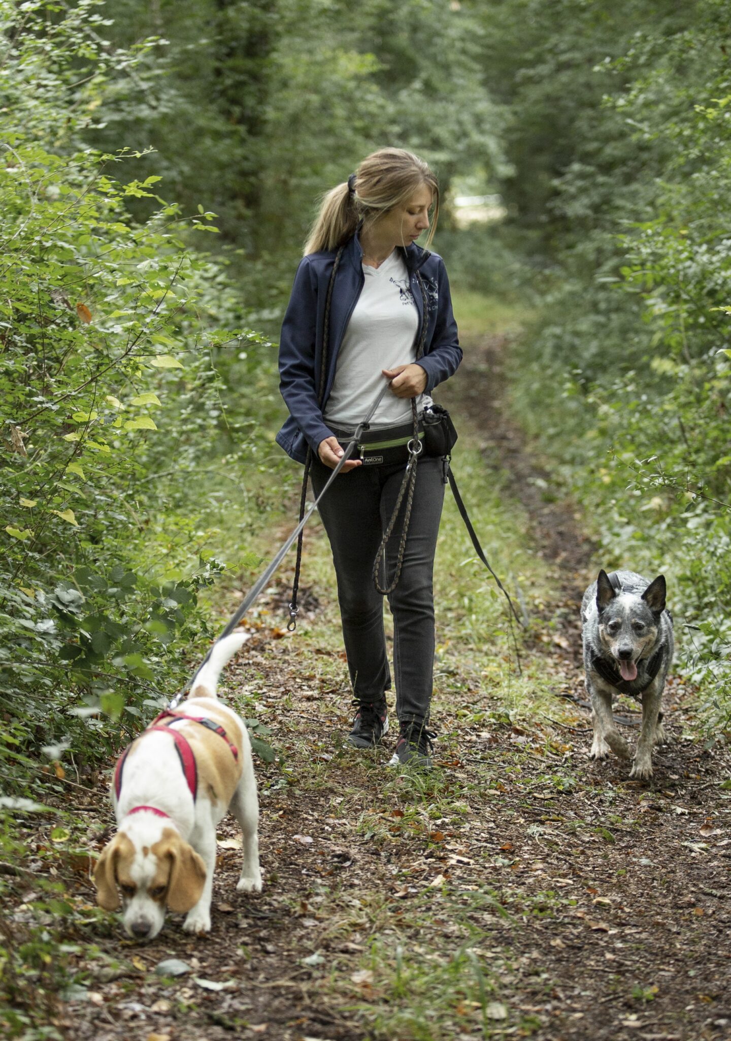 Accueil - Pet's chou 16 17 Pet-sitter & pension canine à Cognac